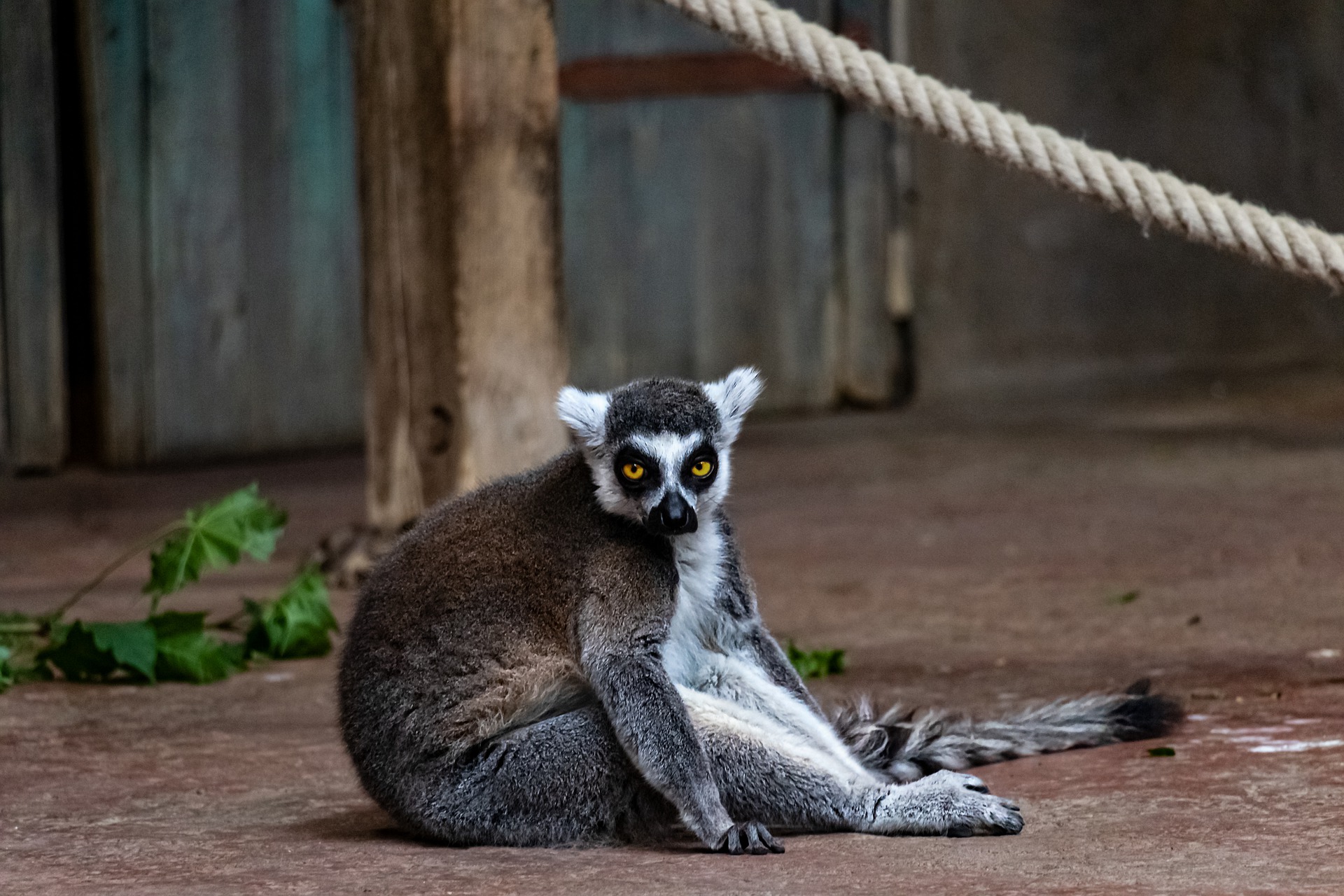 Viajar a Madagascar: el octavo continente | Kanami Travel