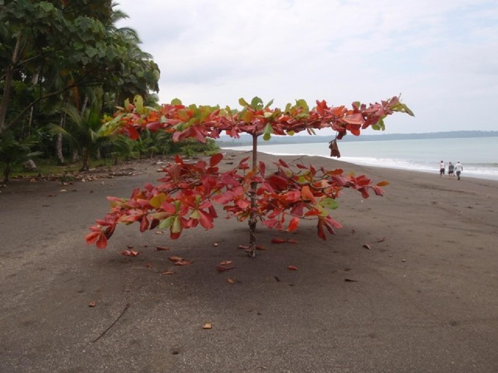 Nuquí entre el océano y la selva | Colombia | Kanami Travel blog