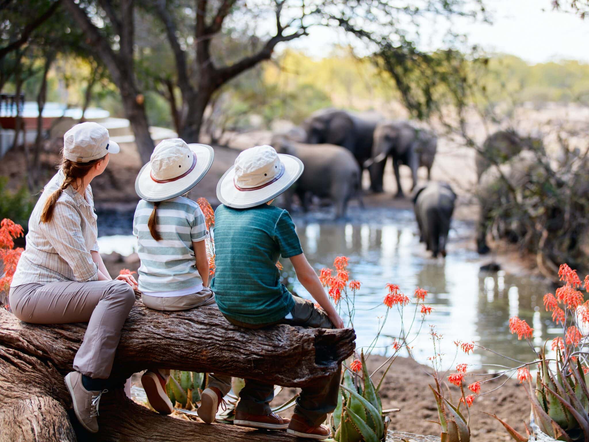 Safari en África con niños | Tánzania, Kenia y Sudafrica | Kanami Viajes